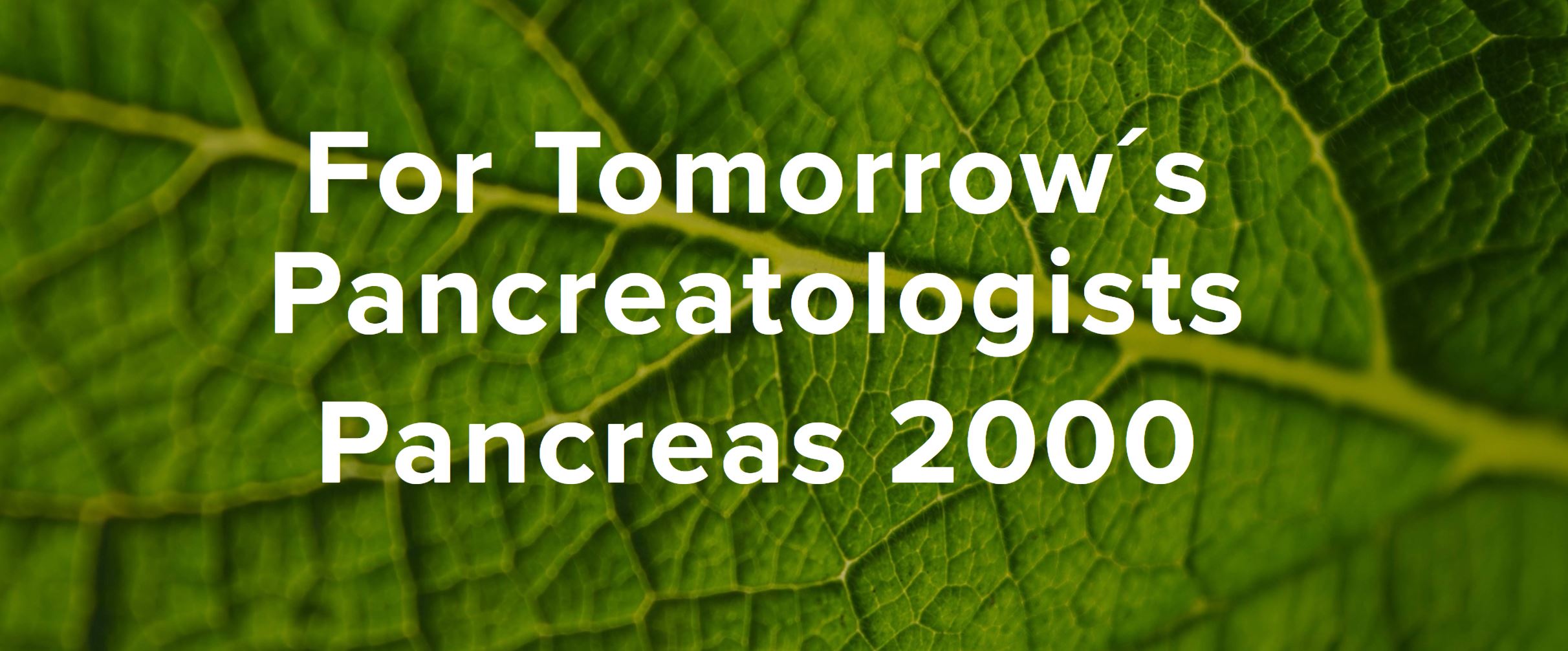 Pancreas 2000 European Pancreatic Club